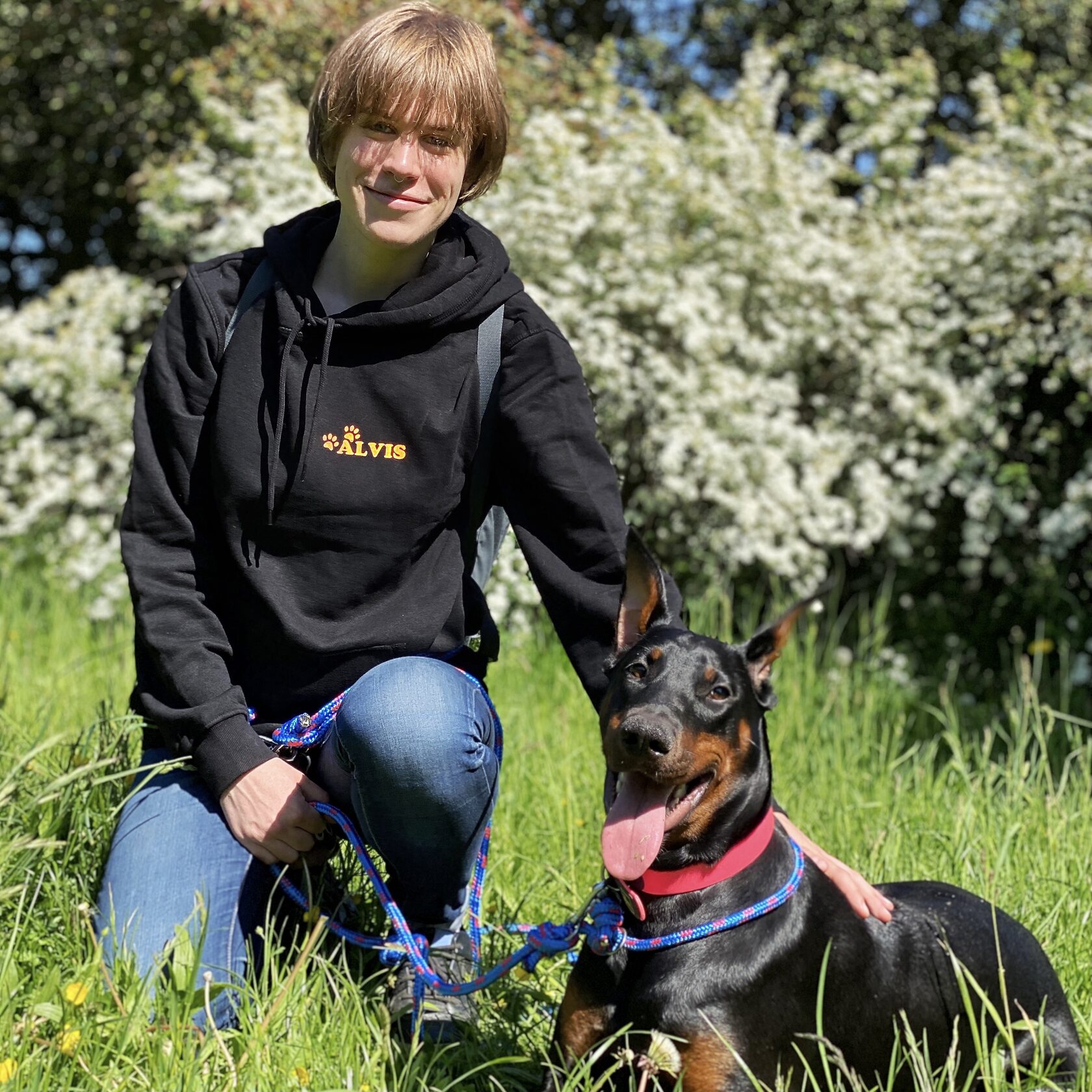 Petsitting - opieka dla psa | Alvis