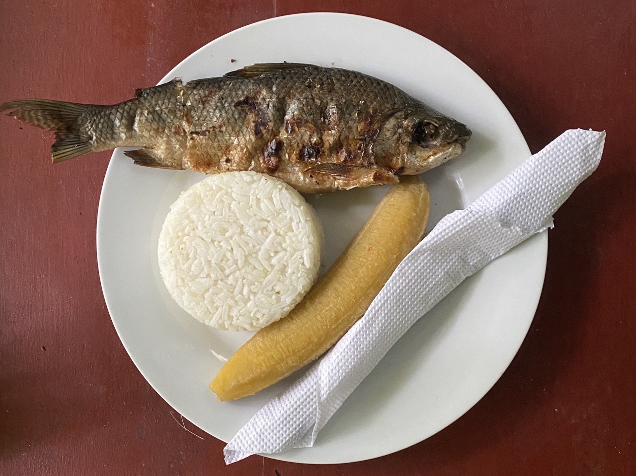 The Importance of Ayahuasca Diet