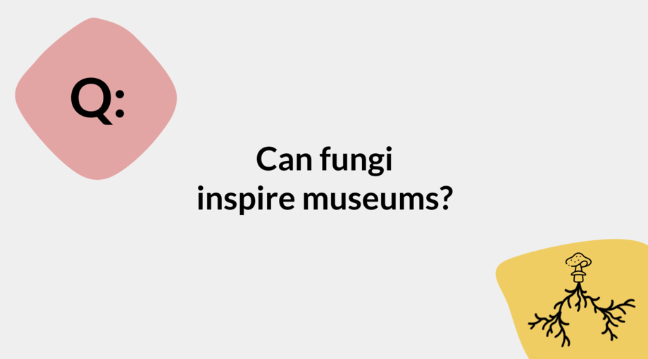 Bio-inspired Museum