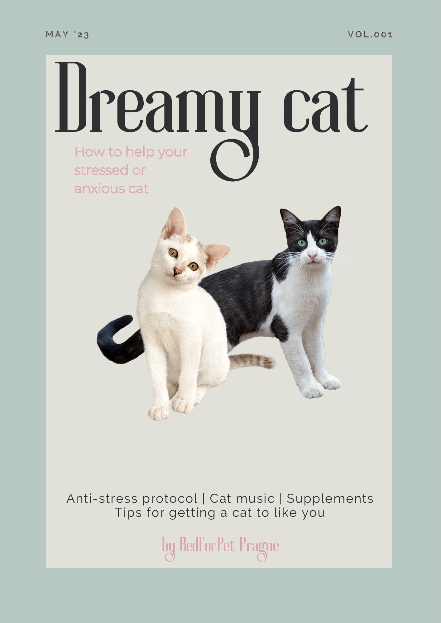 Resources on cat nutrition, behavior and psychology by BedForPet Prague