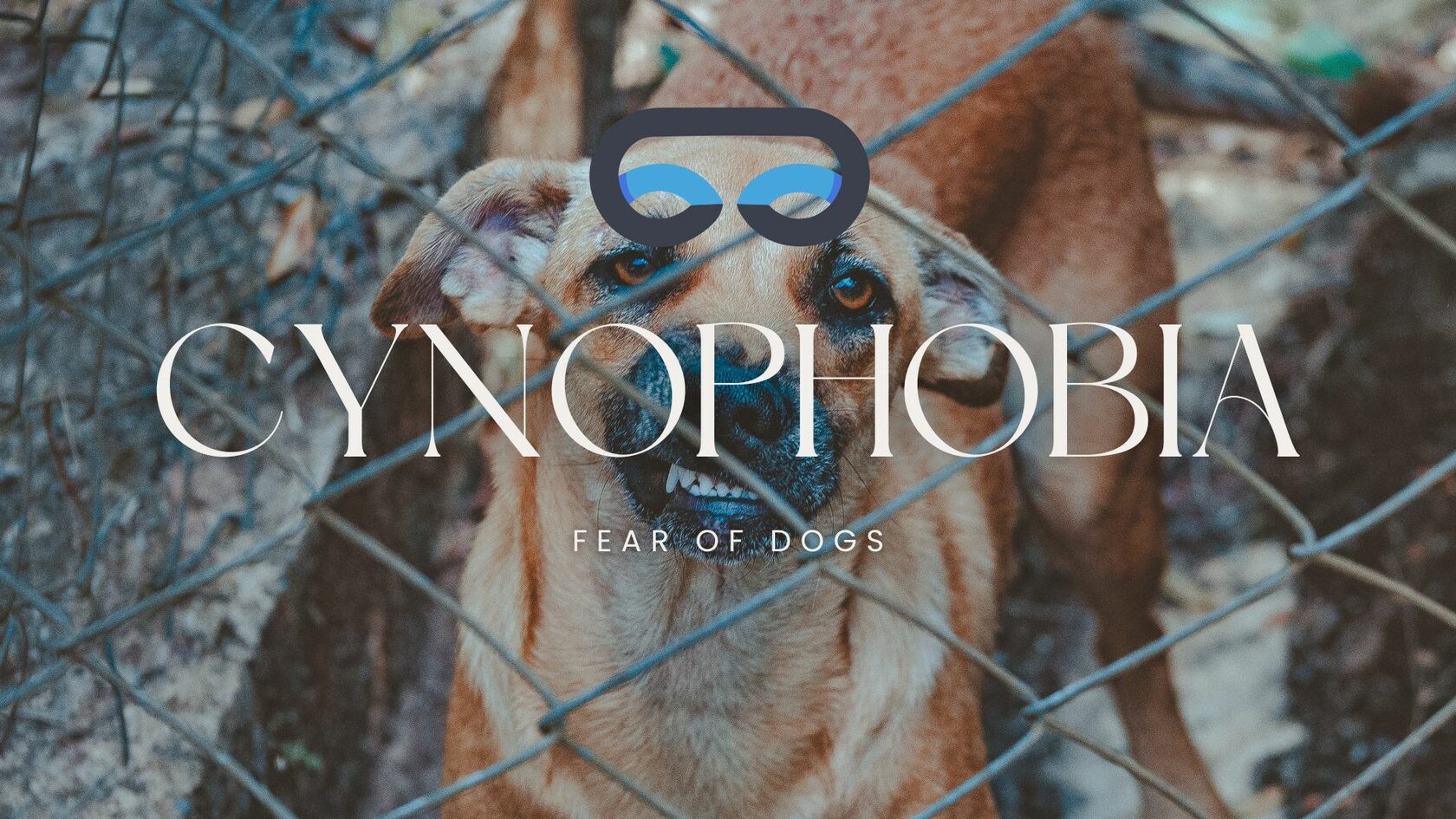 Overcome Fear of Dogs | Cynophobia Therapy & Cure with Psytech VR