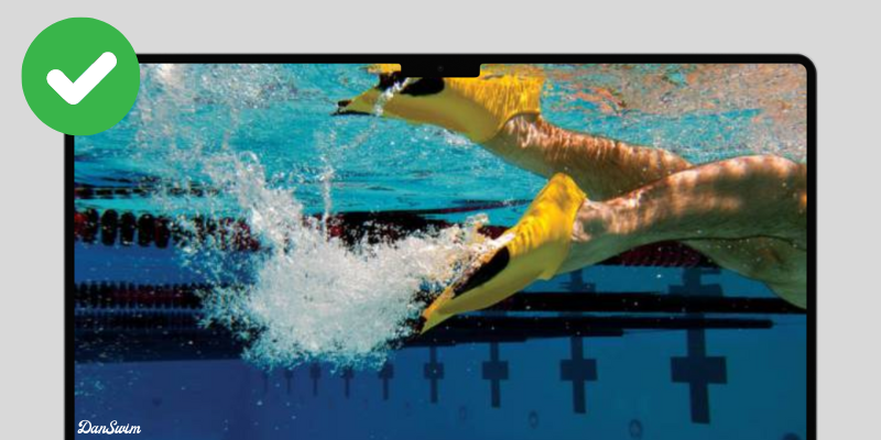 A Beginner's Guide to Swimming Fins: Long vs. Short Fins and Their Purpose