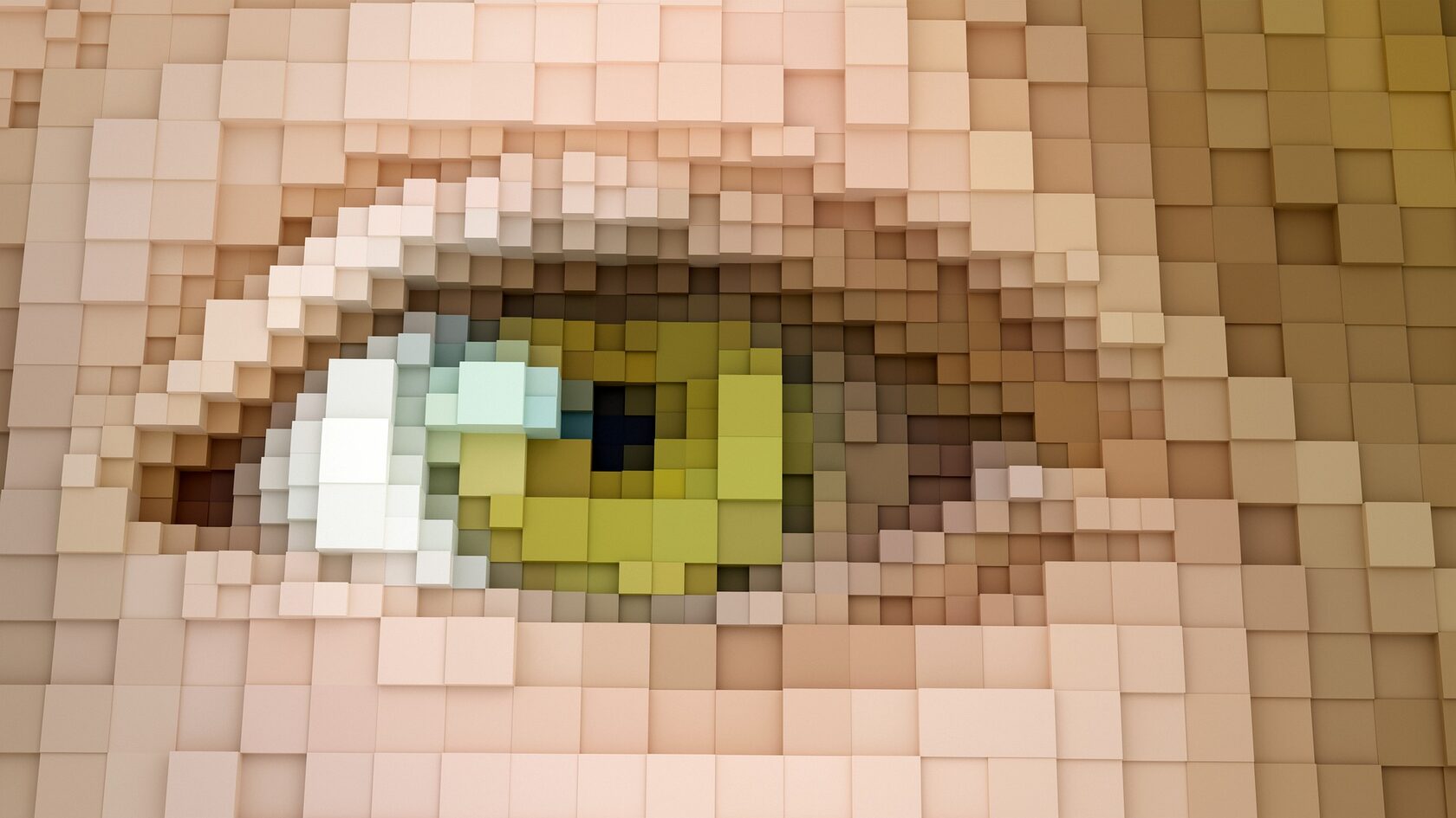 Сomputer Vision Software: Remote Computer Vision