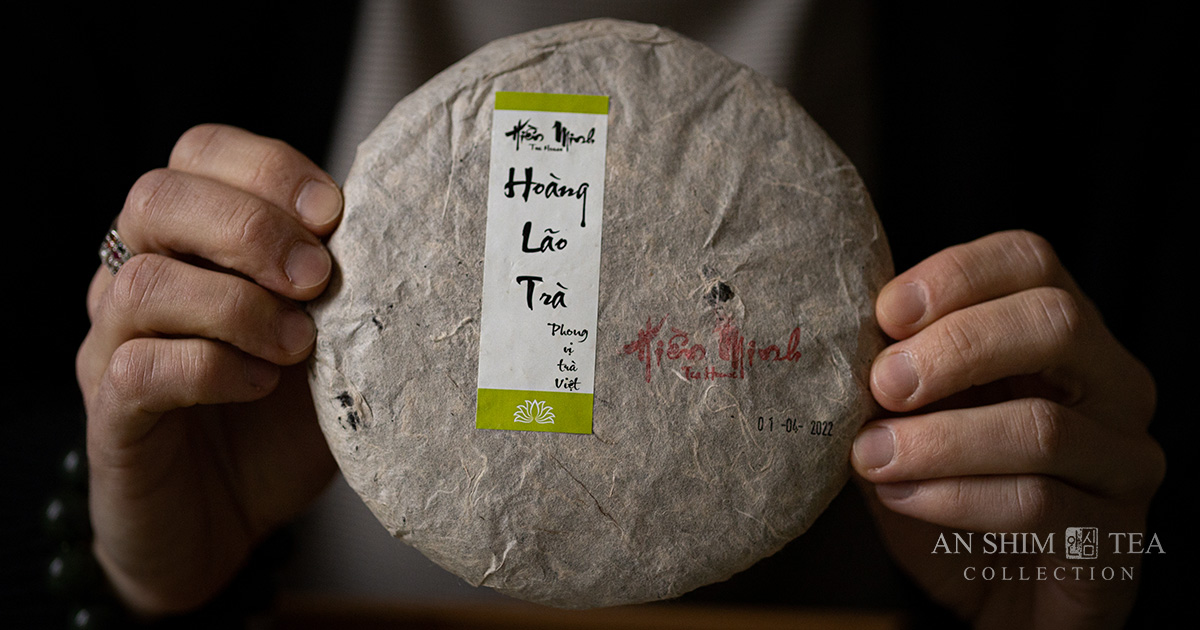 2022 Ha Giang Dan Zhu Gu Shu Sheng Pu’er | Single Tree Raw Tea ...