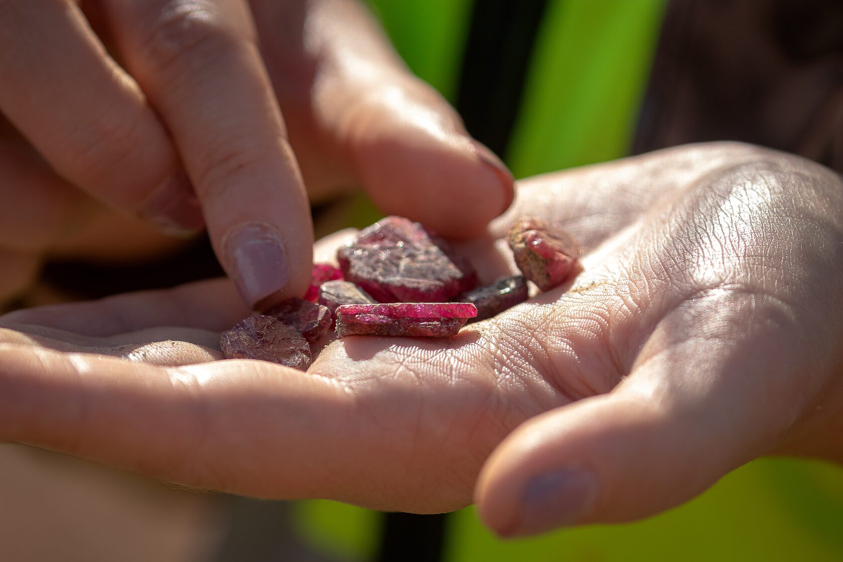 GemMatrix: Founded By Gem lovers