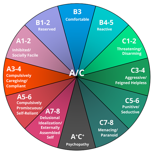 DMM - Introductory Course | Models of Attachment Maturation and Adaptation