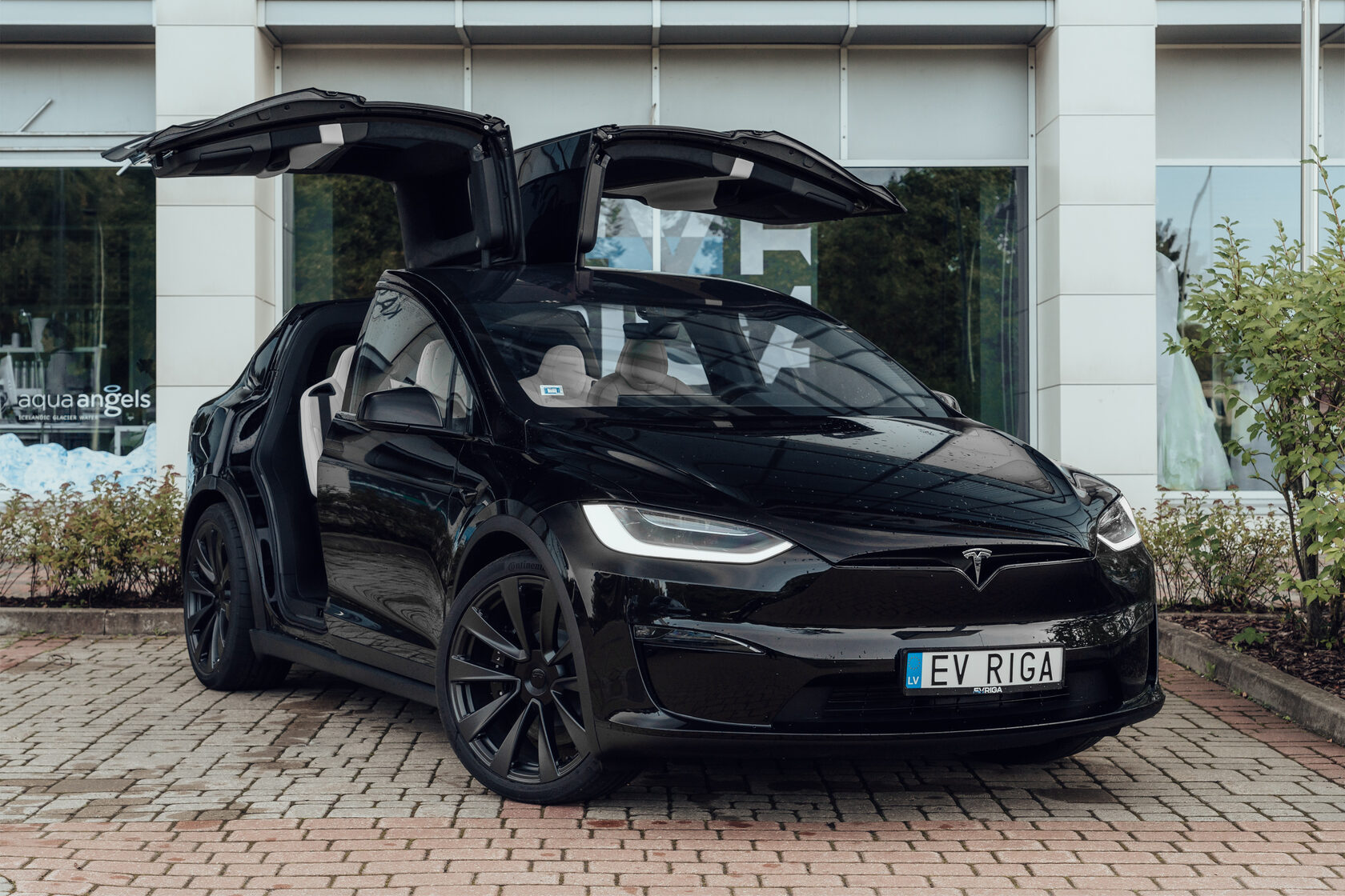 Tesla Model X 100D 2018