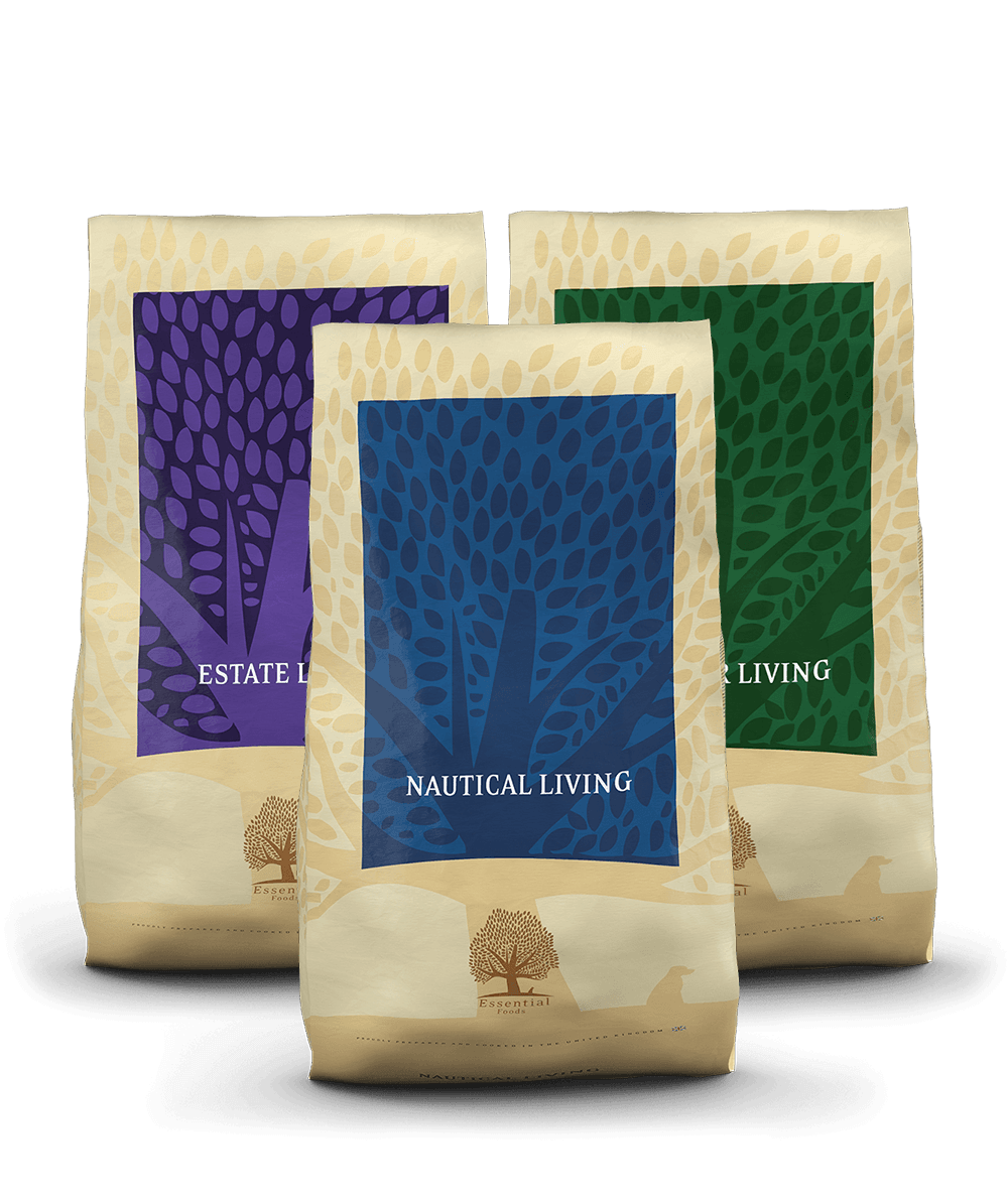 THE CLASSIC XL TASTE BOX LIVING MEALS 3 х 10кг • Essential Foods