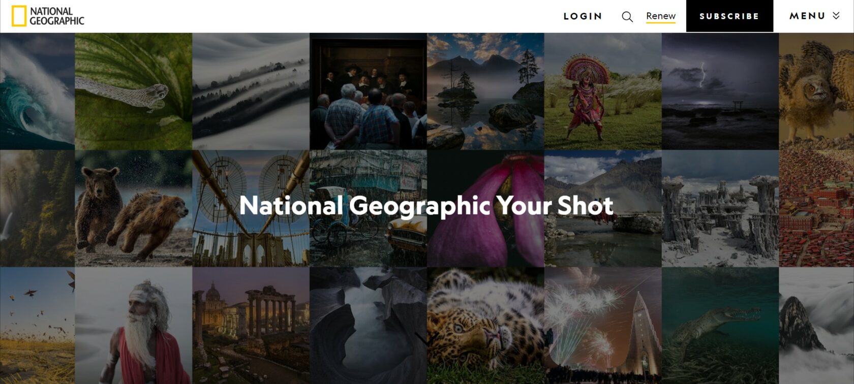 15 Smart Sales Promotion Ideas for Your e-Store