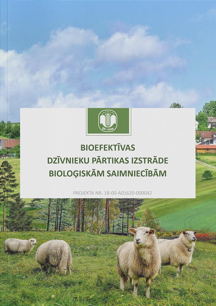 Our Projects — BF ESSE