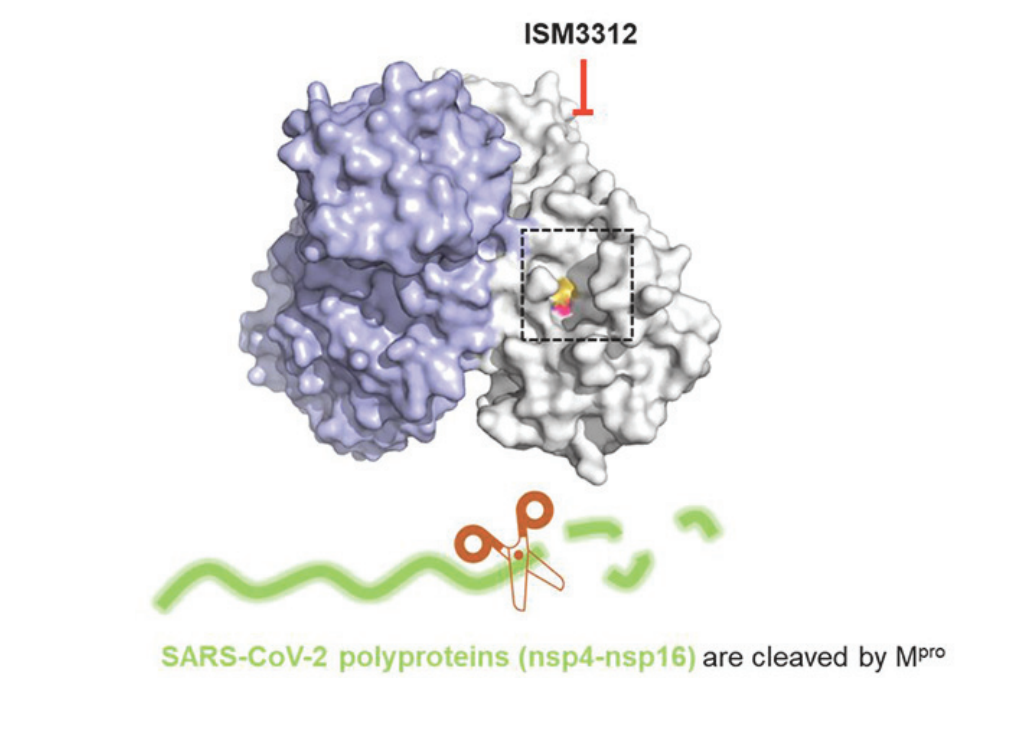3CLpro | Insilico Medicine