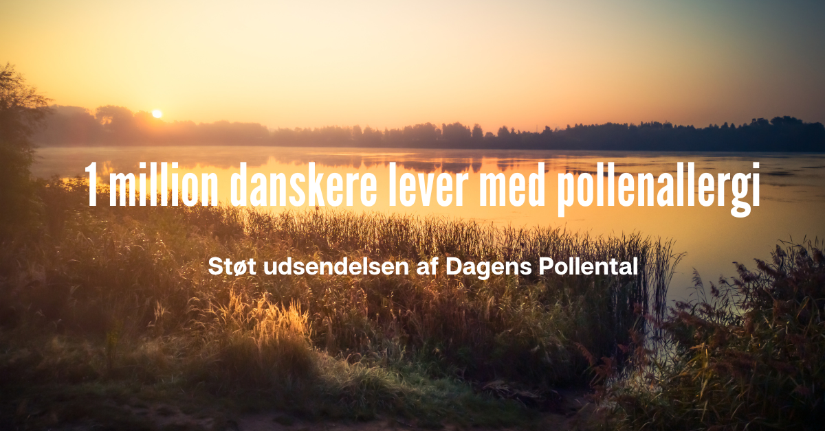 Støt Astma-Allergi Danmark - Dagens Pollental