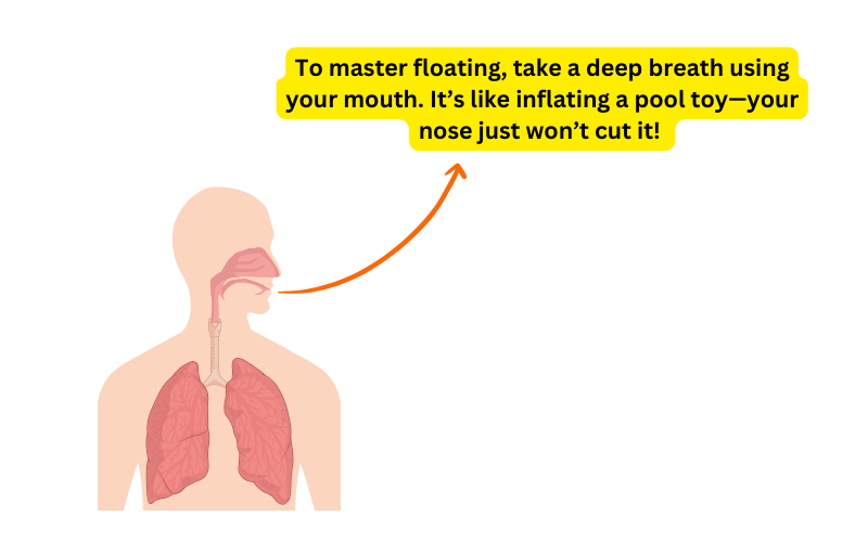 How To Float On Back — Step-By-Step Guide (2024)