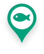 🎣 Fishbox – Smart Fishing App with Bite Forecast, Maps & Weather