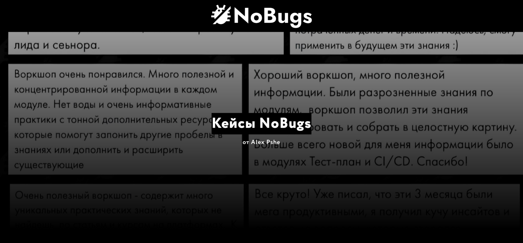 Кейсы NoBugs