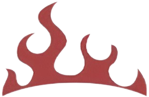 Discover the Magic of Wilderness cooking