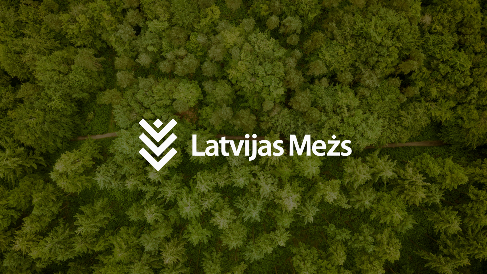 D21 Studio klients | "Latvijas Mežs" Izkārtne | Telpiskie burti | LED ...