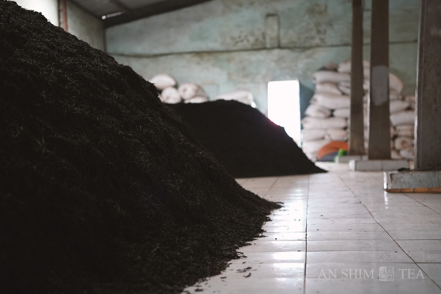 Fermentation & Types of Dark Tea Explained