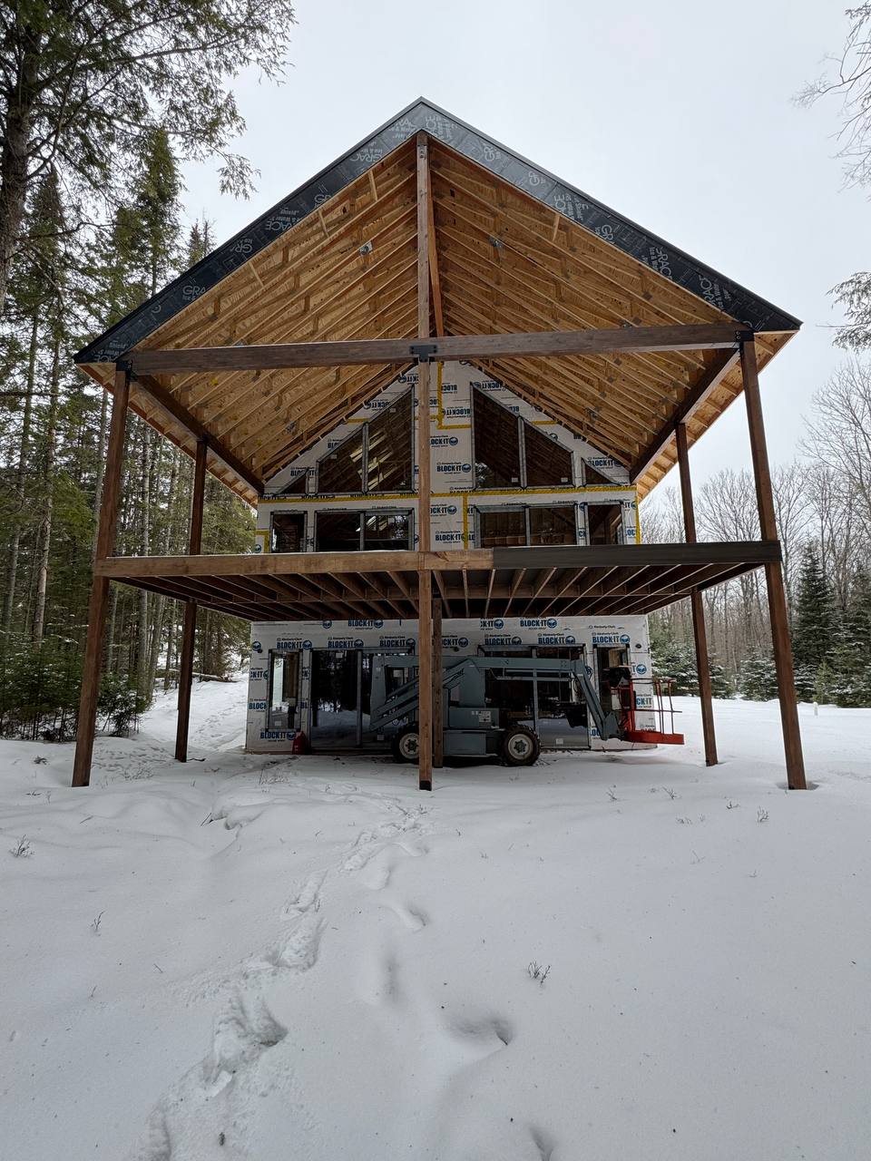 Inside the pines