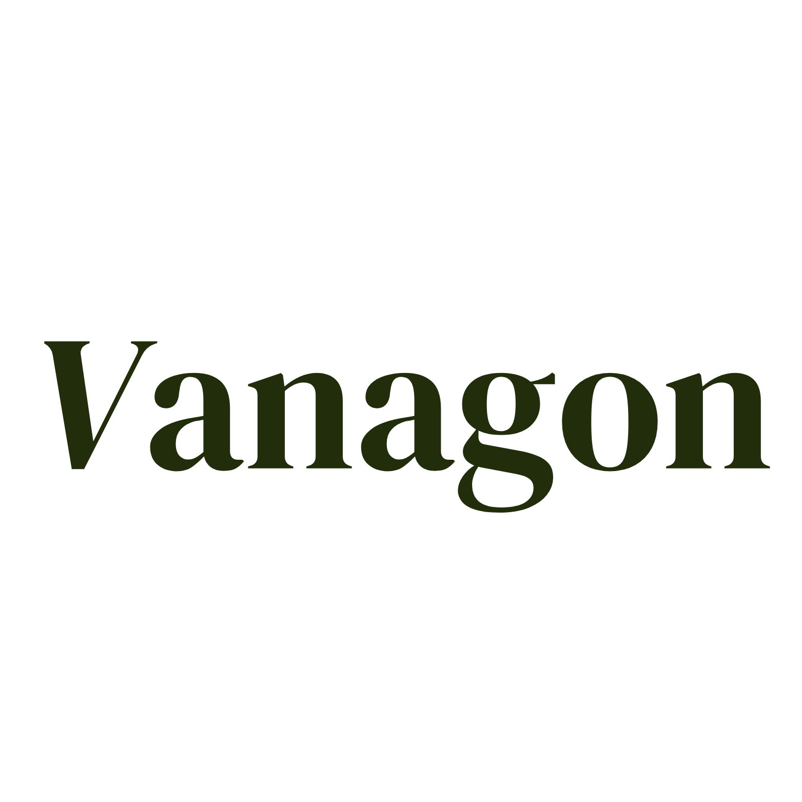 Vanagon Ventures