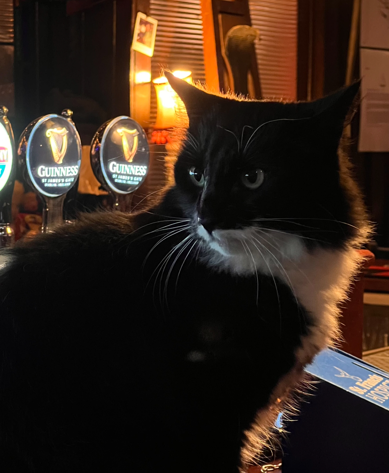 The Harbour Bar Howth