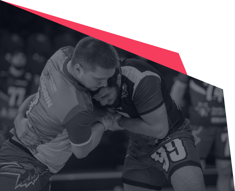 WRESTBALL RULES
