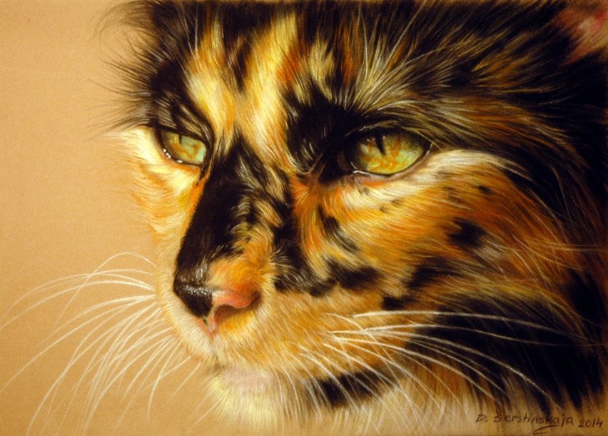 Realistic Cat Portraits | Feline Art by Danguole Serstinskaja