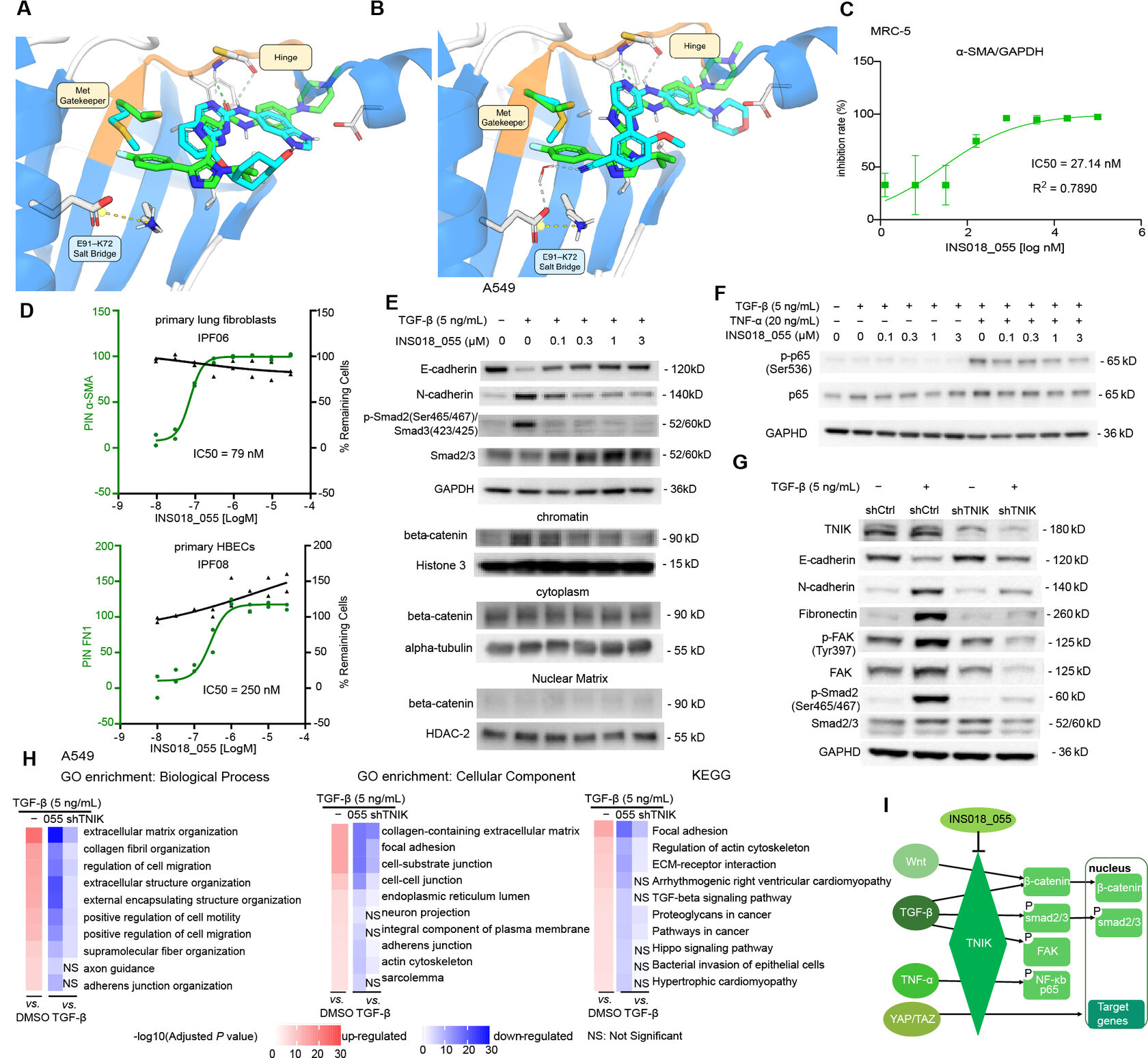 Data Repository for TNIK | Insilico Medicine