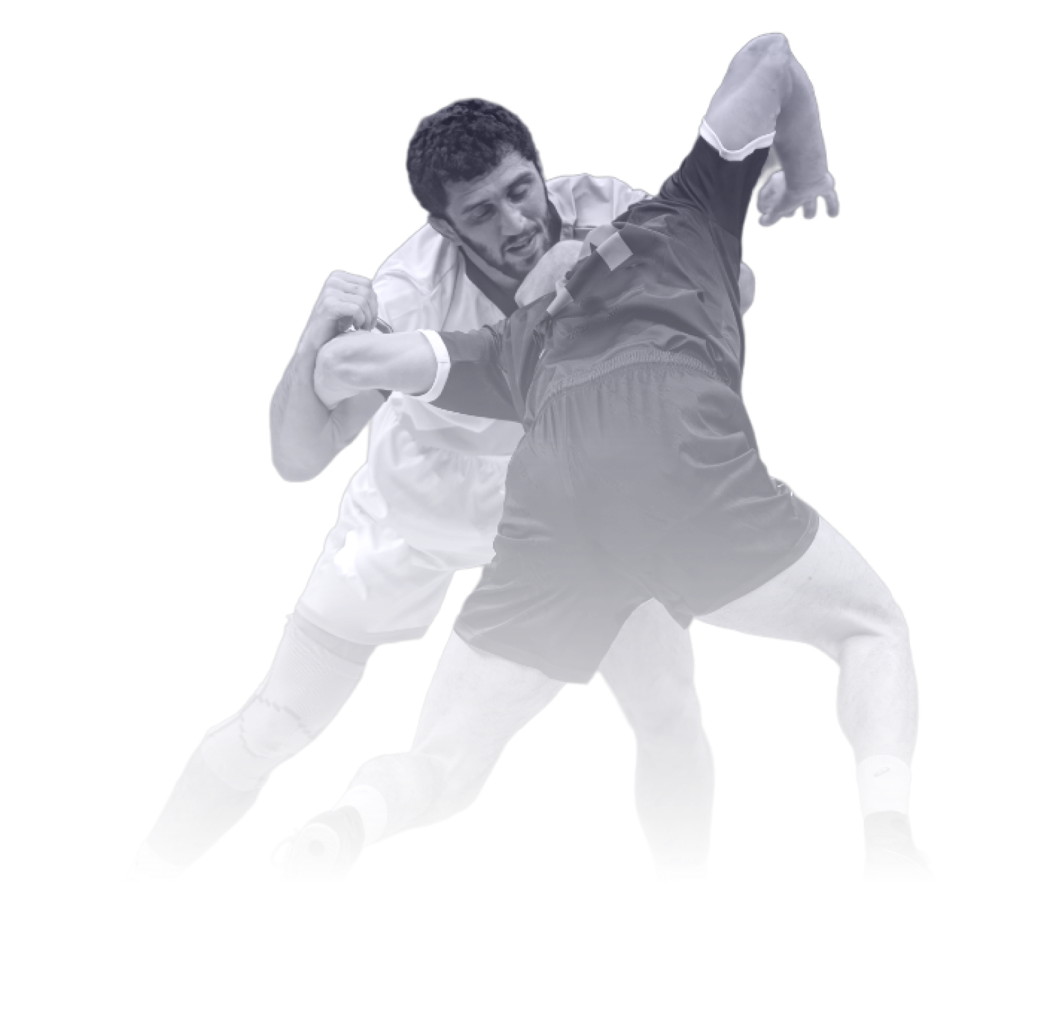 WRESTBALL RULES