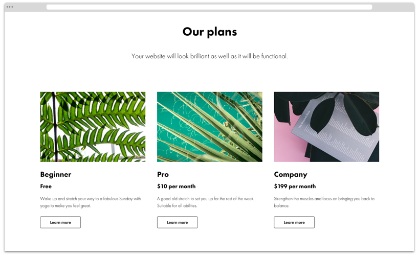 Affordable Pricing For Building a Landing Page with Tilda