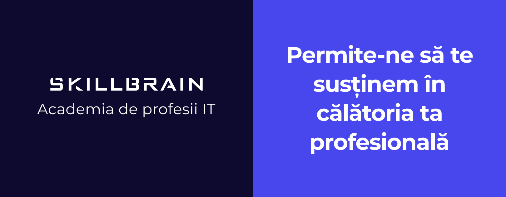 Stagiu de practică de la SkillBrain