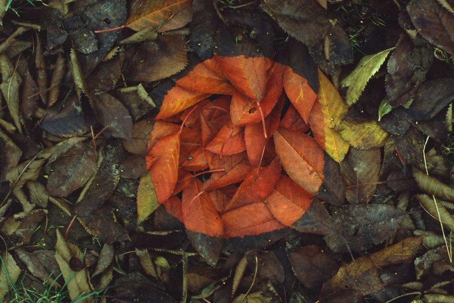 The Environmental Art of Andy Goldsworthy