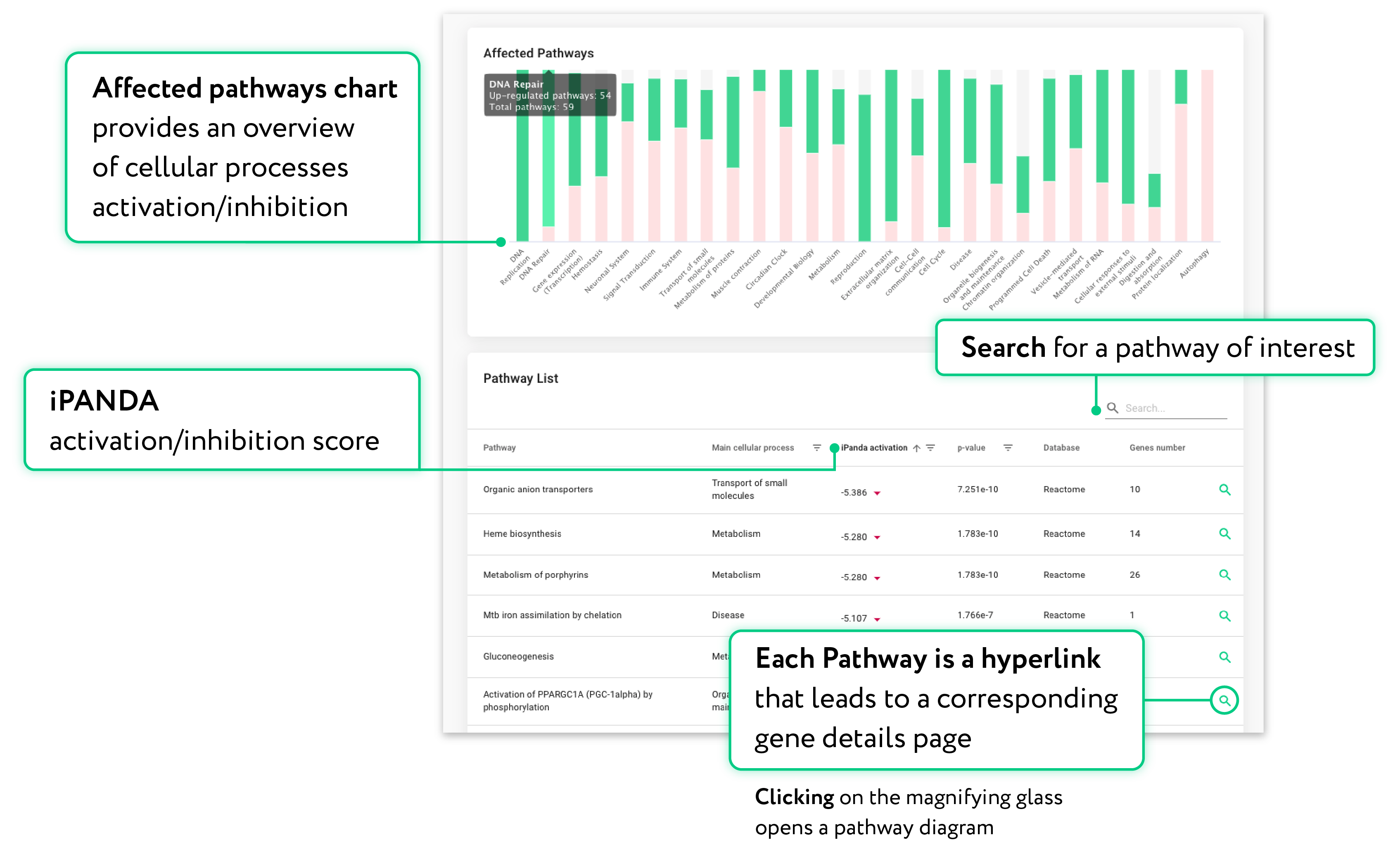 Affected Pathways | PandaOmics