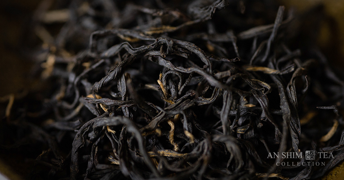 Tong Mu Guan Xiao Chi Gan Hong Cha | "Wu Yi Black"