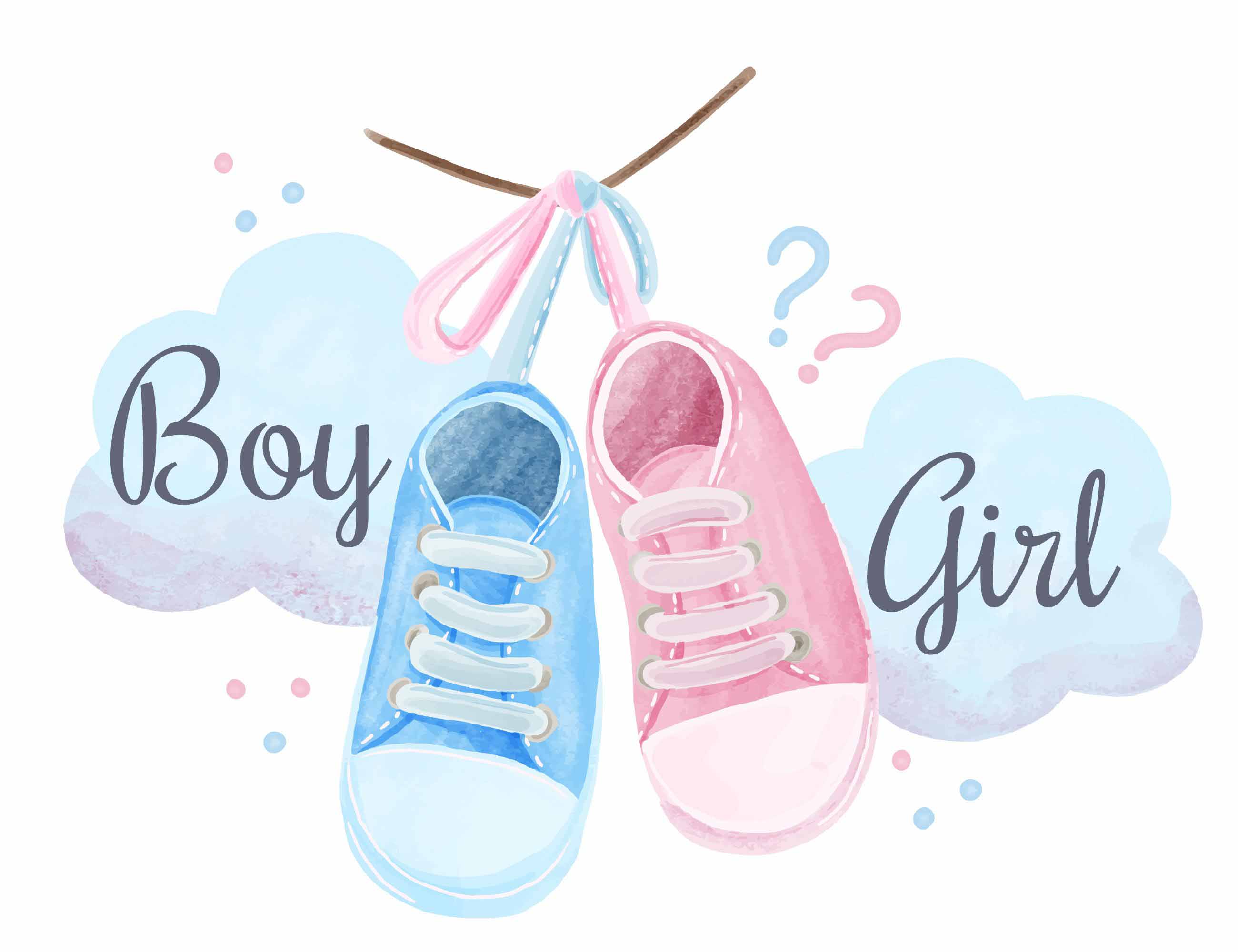 Violet Maternity & Gender Reveal