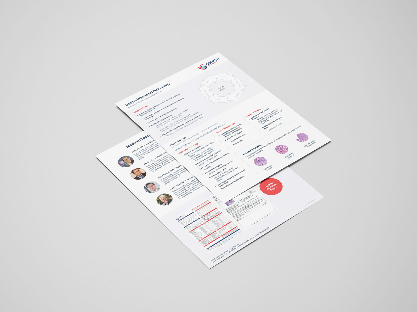 Gastrointestinal Pathology