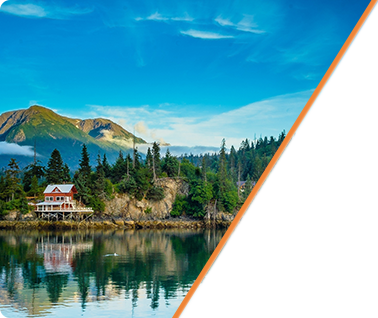 FoxCarriers | Your reliable logistics partner