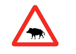 The world’s 16 most unusual road signs | DiscoverCars.com