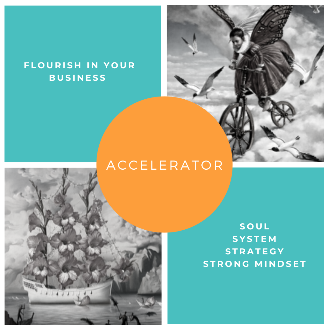 Accelerator program