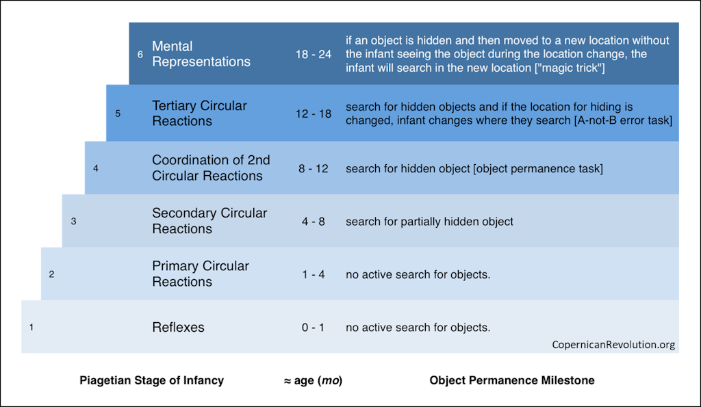 Object Permanence - Comparing Jean Piaget and Renee Baillargeon with ...