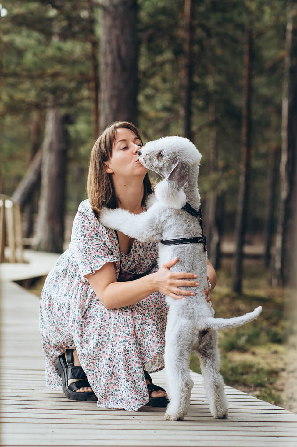 Professional photography and videography in Tallinn | Aljona Selivanova