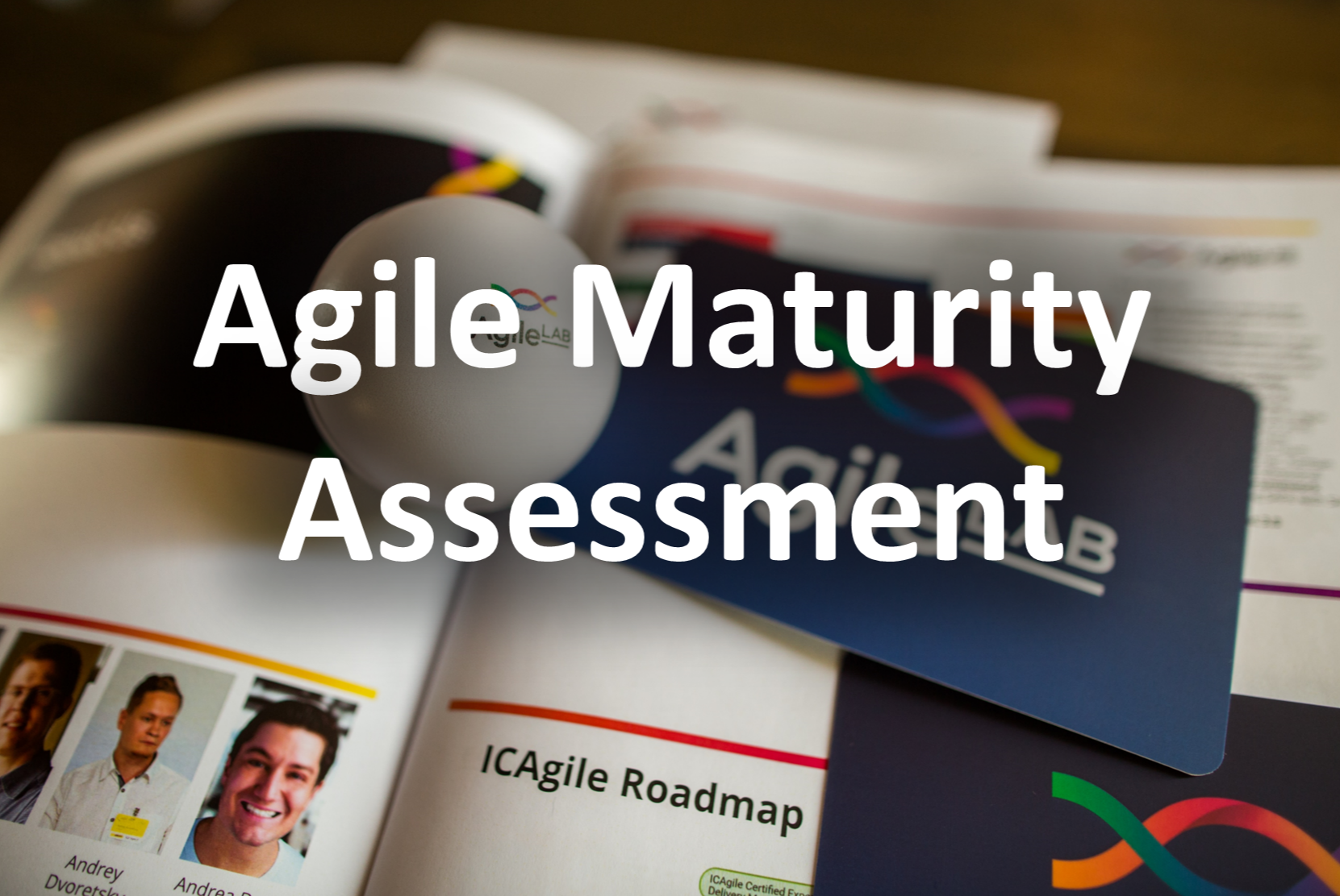 Agile Maturity Assessment| AgileLAB