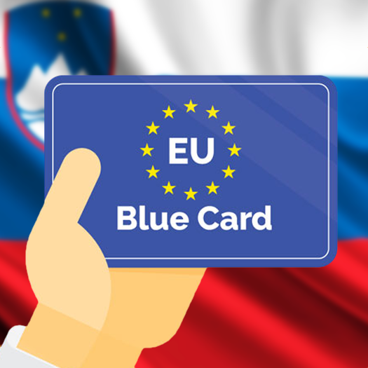 Как получить голубую карту (EU Blue Card) в Словении?