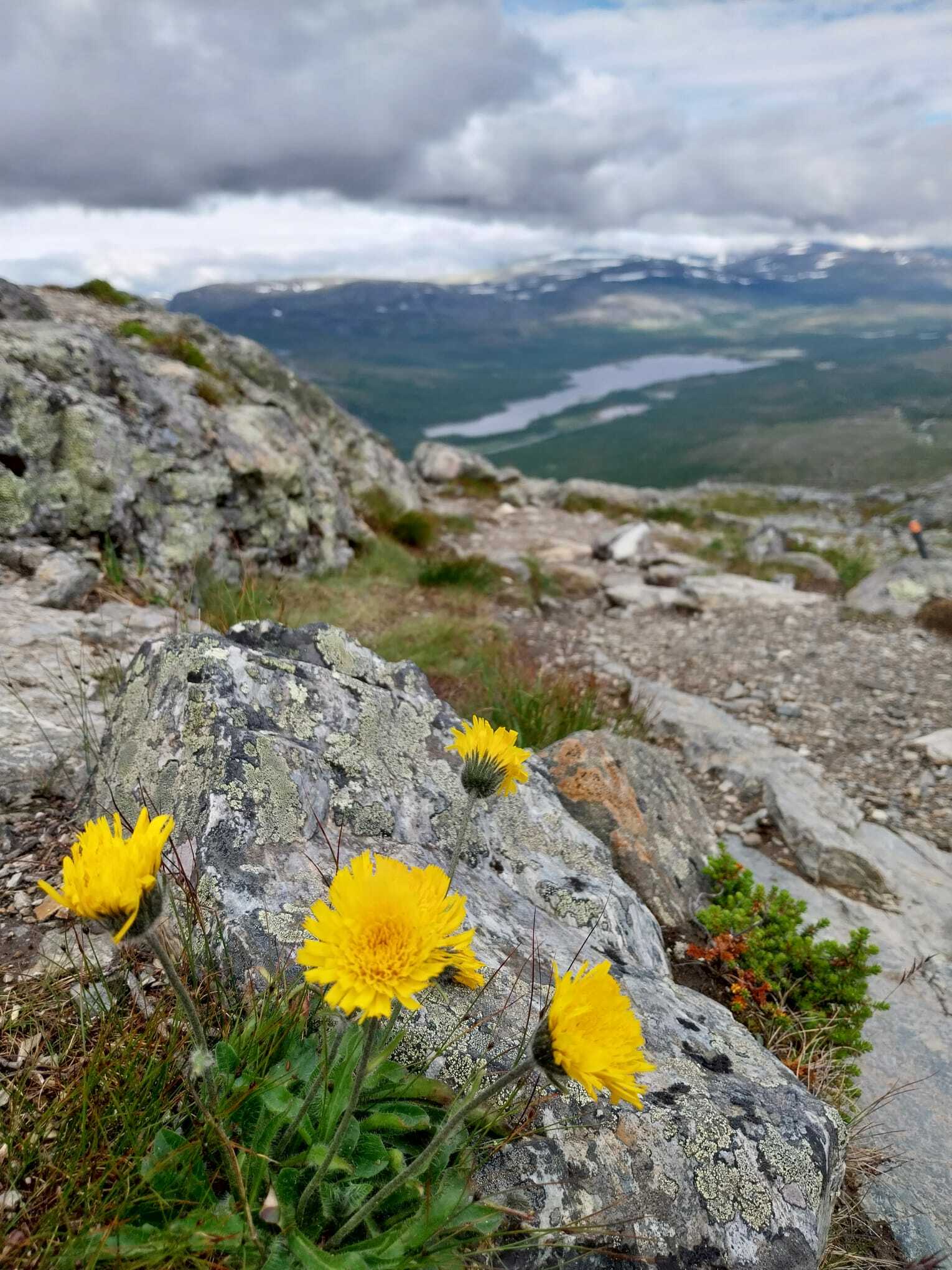 Most popular spring destinations according to Instagram | DiscoverCars.com