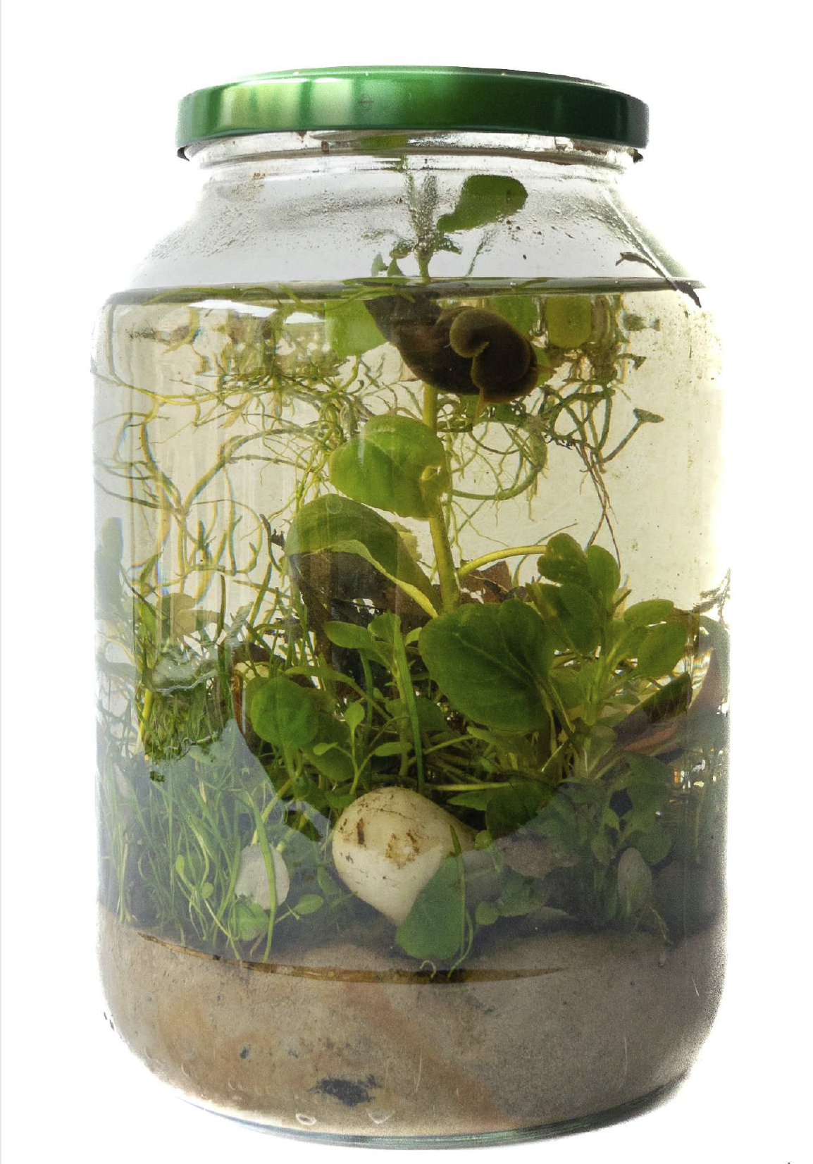 Biotope
