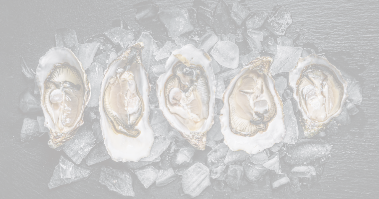 Howth Guinness Oyster & Music Festival