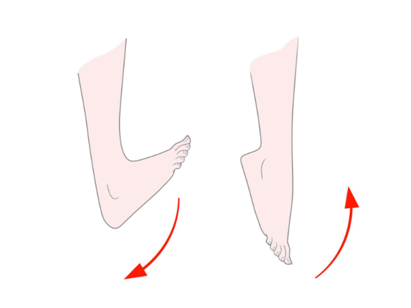 Mastering the Dolphin Kick: Techniques for Effortless Speed