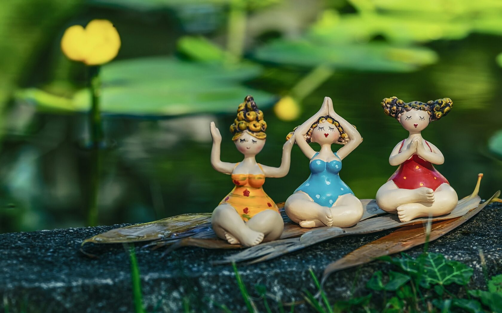 6 Dimensions of Wellness: Complete Guide to Balanced Living | Wholenessly