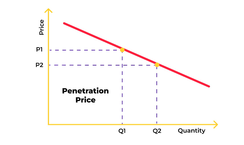 Penetration Pricing Strategy: Definition, Overview & Examples | Priceva