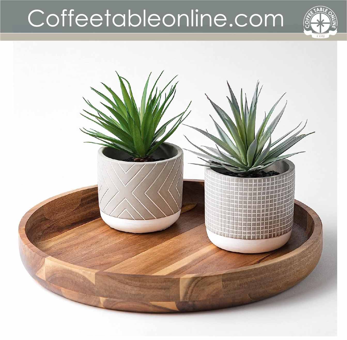 The 35 Best Round Coffee Table Trays for a Stylish Living Room